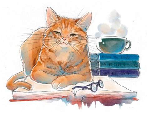 Самые милые нарисованные котики Kedi Kedi İllüstrasyonu Kitap