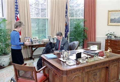 Loller Trump Is Slaying At Davos Page 3 Freeones Forum The Free Munity