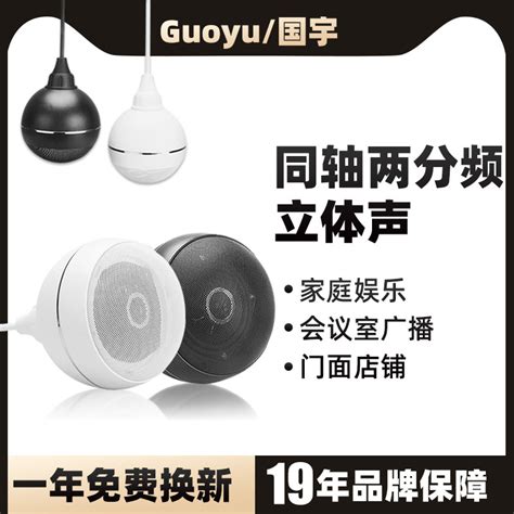 🌟 Essential Audio For Home Improvement 🌟 Guoyu G 103 Ceiling Speaker