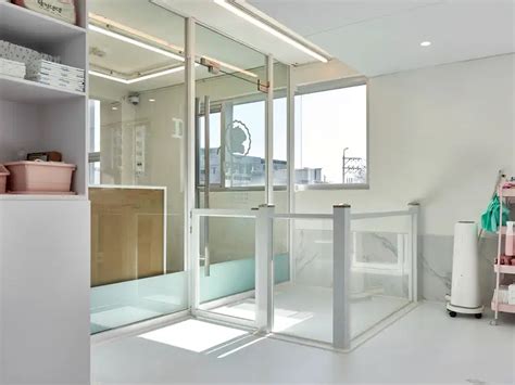 파스텔 핑크 컬러로 귀여운 내부 60평 애견호텔 인테리어 수원 장안구 조원동