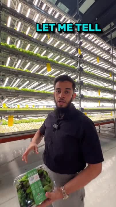 Oluwatobi Adefolaji Posted On Linkedin