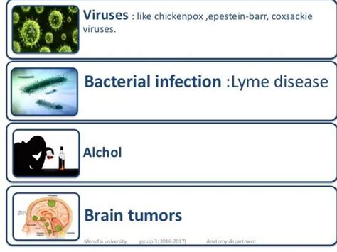 Cerebellar Dysfunction Ppt Pptx