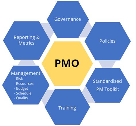 Deliver Global PMO Implementation For Leading Pharma Co