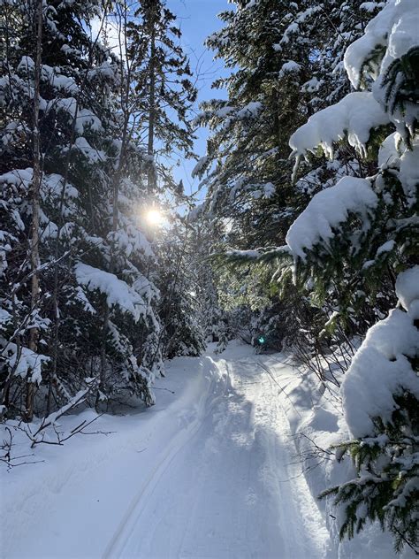 Gunflint Trail Snowy Silence Boundary Waters Blog