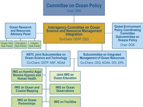 Program Governance Processes Procedures Study Com