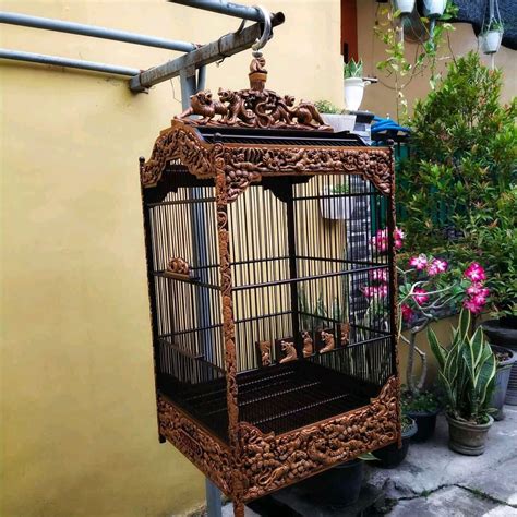 Sangkar Kontak Sangkar Kotak Ukir Sangkar Ukir Sangkar Kacer Sangkar Cucak Ijo Kandang Ukir