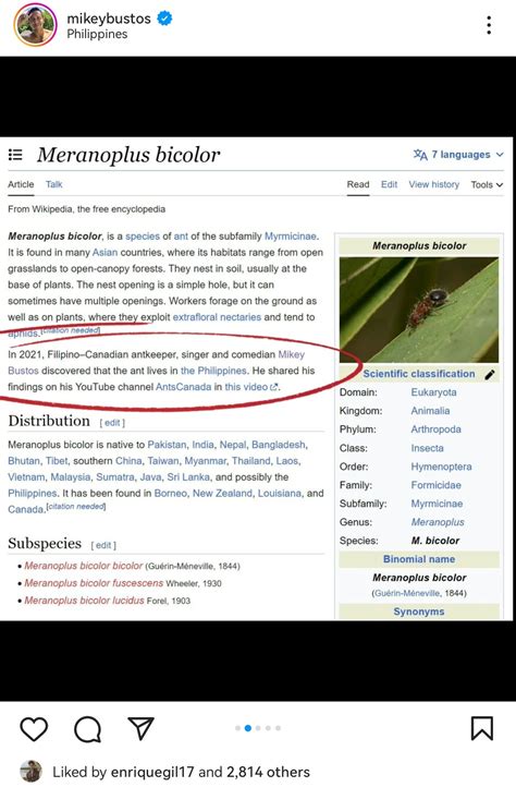 Fashion Pulis Insta Scoop Mikey Bustos Credit For New Ant Species