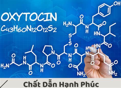 Các hormone và chất dẫn truyền được sản sinh trong hoạt động tình dục Vinmec