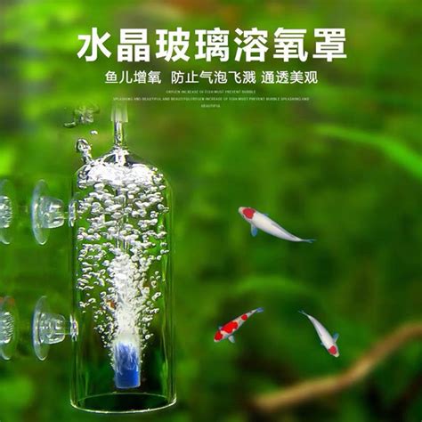 鱼缸氧气 小鱼缸怎么自己做氧气 人工给鱼缸加氧气 大山谷图库