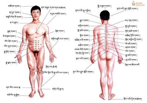 ླརུང་གསང་།། Төөнүүр эмчилгээг хийхдээ хүний биеийн гадна хэсэг дээрх нарийн цэг суваг хэрдсээр
