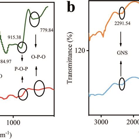 Ftir Patterns Of Various Powders A Srzn Doped Cpp And Sr Doped Cpp