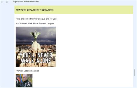 Giphy Api And Websurfer Fastagency