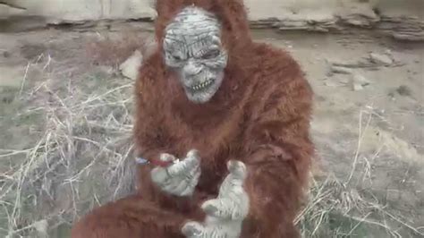 Bigfoot Vs Yeti Youtube
