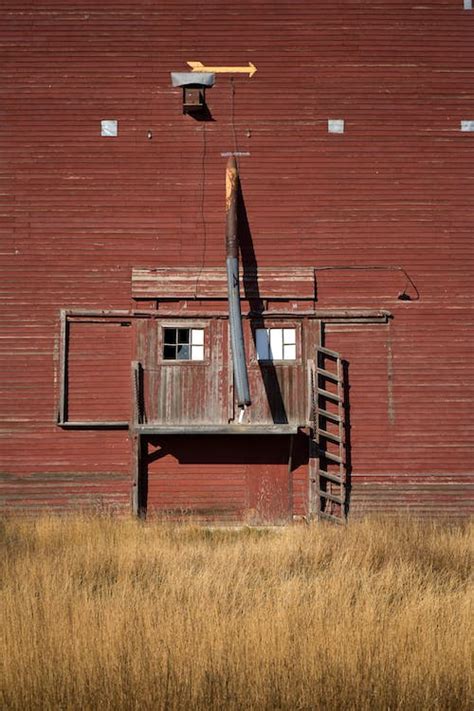 가족 건물 건축 나무 농촌의 러스틱 문 반 엘크 앰프 공동 실제 아카디아 웨딩 아카디아 웨딩 사진 아카디아 웨딩 포토그래퍼 야외에서 여름 여행