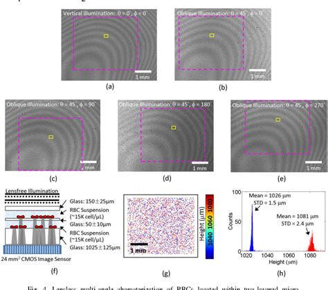 Figure 4 From Multi Angle Lensless Digital Holography For Depth Resolved Imaging On A Chip