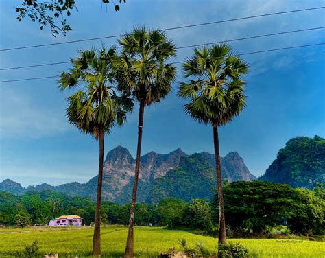 တောင်ပေါ်သားရှမ်းကိုးမီး Added တောင်ပေါ်သားရှမ်းကိုးမီး