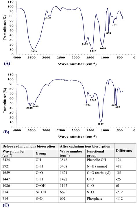 Ftir Of Ulva Fasciata Biomass A Before Cadmium Ions Biosorption B Download Scientific