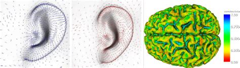 Curvature Estimation Using Multi Scale Analysis And Normal Cycle
