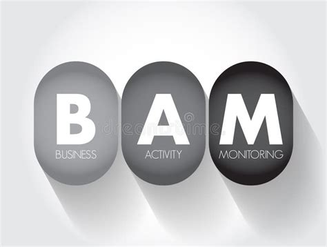 Bam Business Activity Monitoring Is Software That Aids In Monitoring