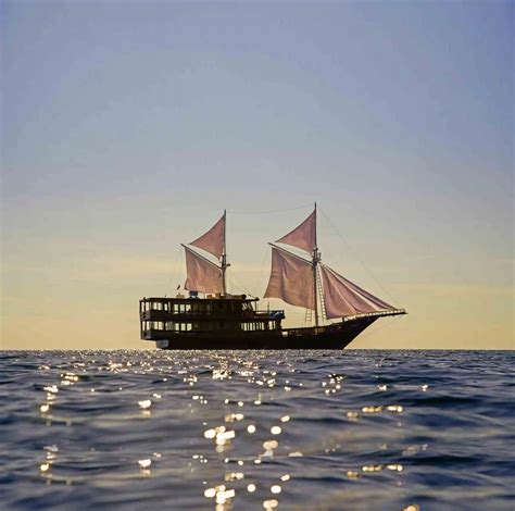 Liveaboard The Oracle Yacht Dive Trips Indonesia