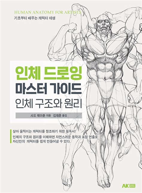 인체 드로잉 마스터 가이드 알라딘