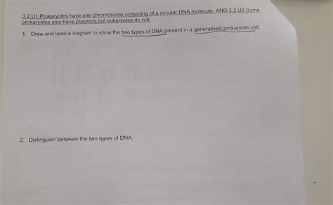 Solved 3 2 U1 Prokaryotes Have One Chromosome Consisting Of