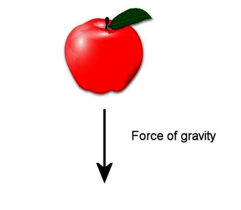 free fall calculator determine free fall speed