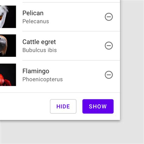 Material Design