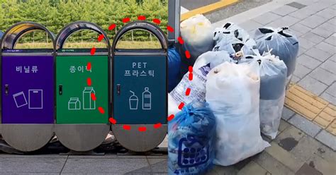 2024년 1월 1일부터 바뀌는 분리수거 하는 법 변경 내용 중 가장 주의해야할 부분 과태료