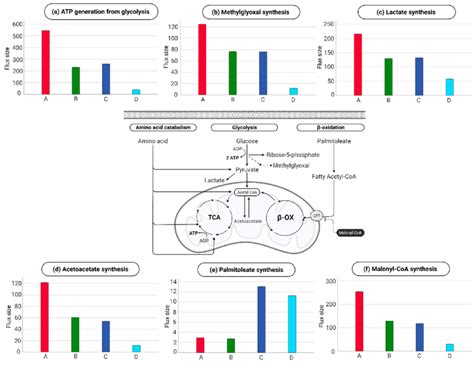 Cellular Activity Leading To ATP Generation A ATP Generation From Download Scientific