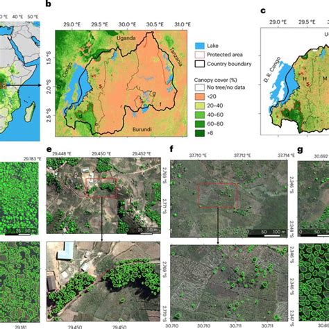 Mapping Of Individual Trees Inside And Outside Of Forests In