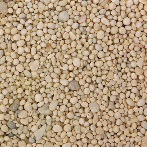 Oolite Rock Formation Structure And Environmental Significance