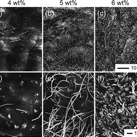 Cross Fracture Sem Images Acquired From Uncoated Conductive Polymer