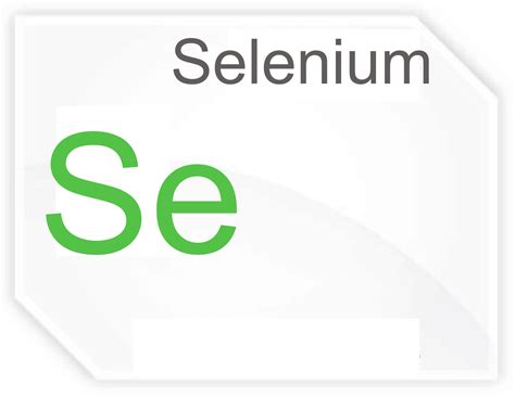 Best Selenium Supplements Reviewed In 2023 Thefitbay
