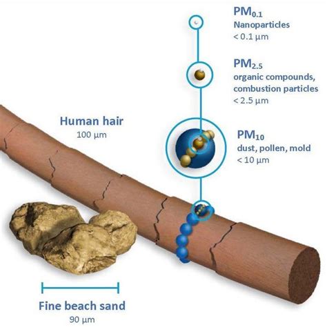 Cena Dempsey Fragancia Air Particle Sensor Portero Peave Teoría Básica
