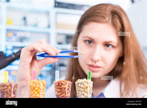 Seed Laboratory Hi Res Stock Photography And Images Alamy