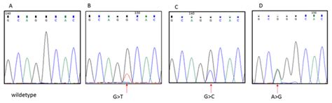 Sanger Sequencing Performed On Idh2 Gene Exon 4 A Electropherogram