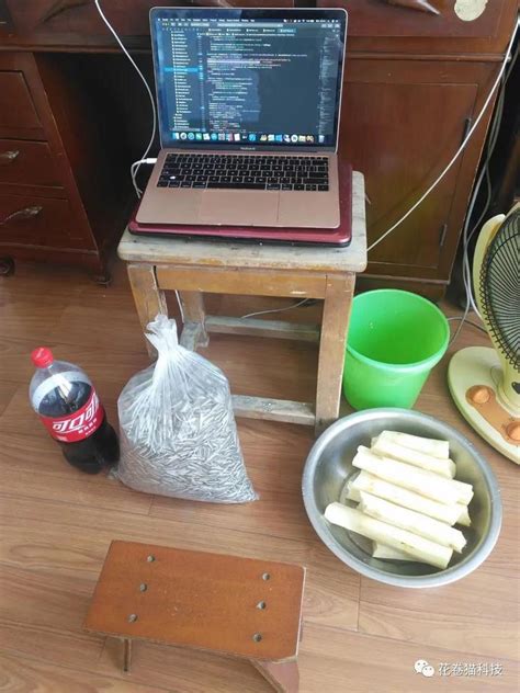 我在农村每天的作息安排 知乎