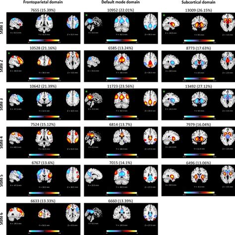 Hierarchical Functional Architectures Of The Brain And Notations Used Download Scientific