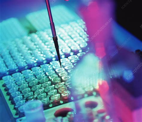 Dna Analysis Stock Image G2100875 Science Photo Library