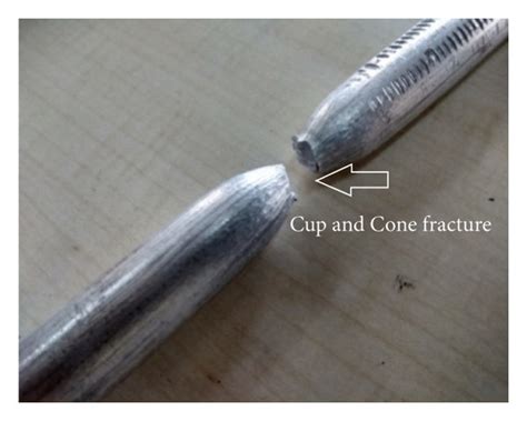A Differentiation Levels Of Elongation On Specimens B C Download Scientific Diagram