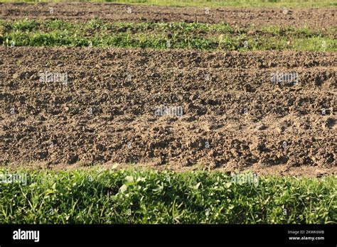 Tilled Land And Field Getting The Soil Ready For Planting Seeds Stock