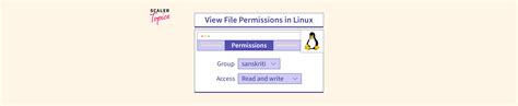 How To View File Permissions In Linux Scaler Topics
