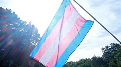 დააკავეს პირი რომელმაც ტრანსგენდერ ქალზე სექსუალურად იძალადა და