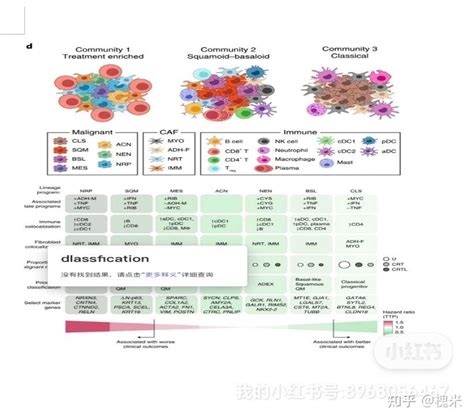 胰腺癌单细胞核转录组 空间转录组图谱构建 知乎