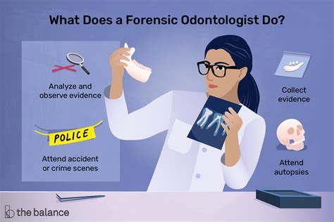 Forensic Dental Identification