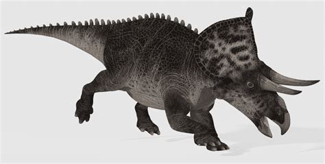 Zuniceratops Dinosaur King
