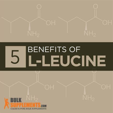 L Leucine Achieve Optimal Muscle Growth Fuel Your Muscles Efficiently