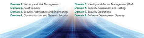 Do CISSP Holders Rule The World Plus Domain Breakdown