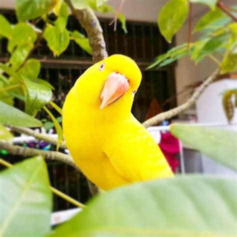 Coco S Modeling Adventure